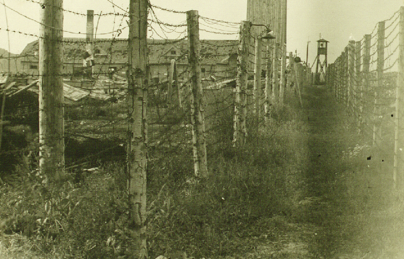 The Zwangsarbeitslager-Lemberg (ZAL-L) or The Janowska Camp | Lviv ...