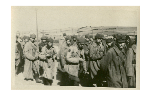 The role of transport in the Holocaust | Lviv Interactive