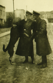 The Zwangsarbeitslager-Lemberg (ZAL-L) or The Janowska Camp | Lviv ...